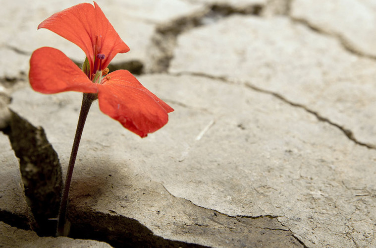 Beauty for Brokenness – malcolmsmusings.org