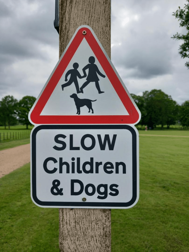 Ambiguity, Contradictions and Apparent Nonsense – malcolmsmusings.org