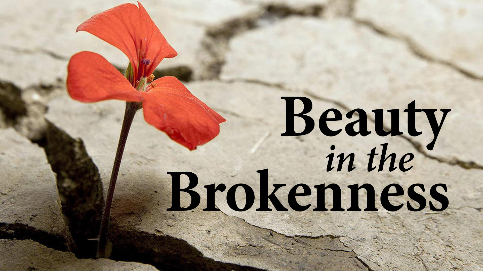 Beauty and Brokenness – malcolmsmusings.org