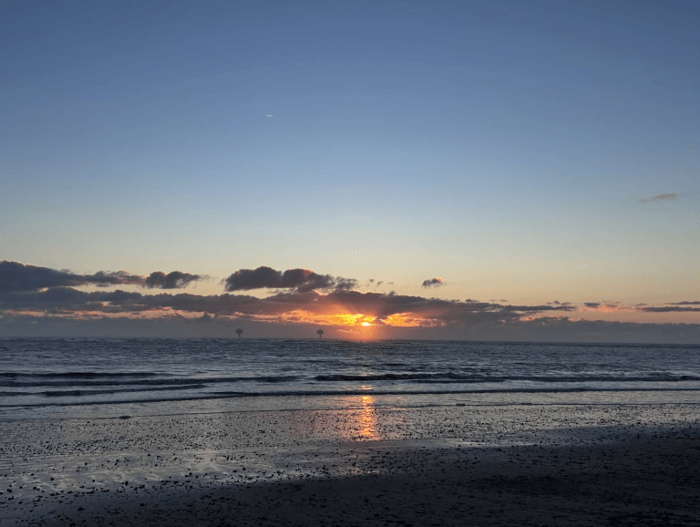 Silhouettes – malcolmsmusings.org