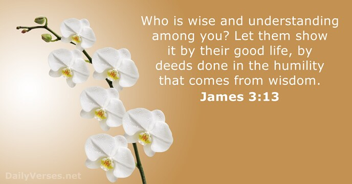 Who is Wise? – malcolmsmusings.org